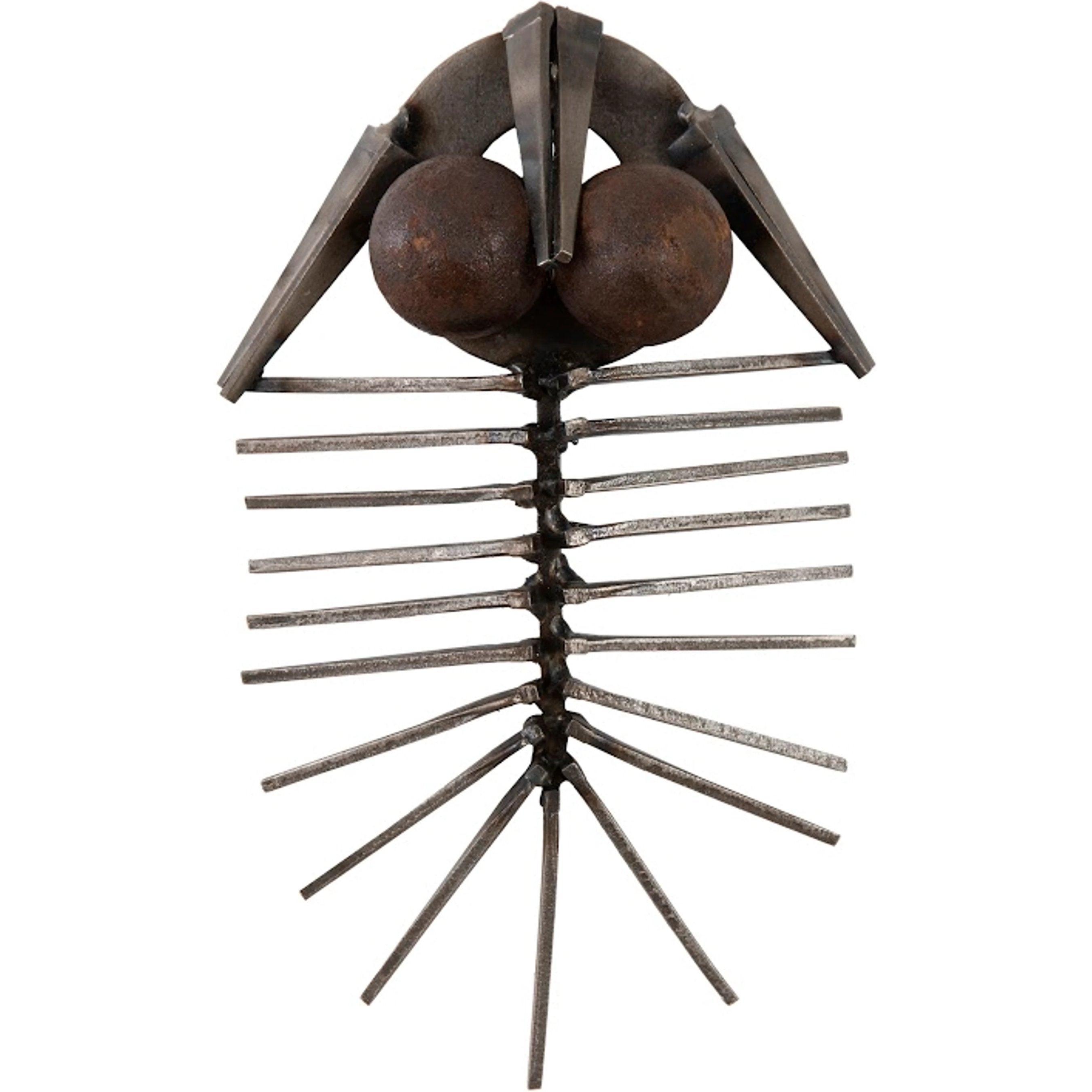 Phillips Collection Trilobites Wall Decor | HedgeApple