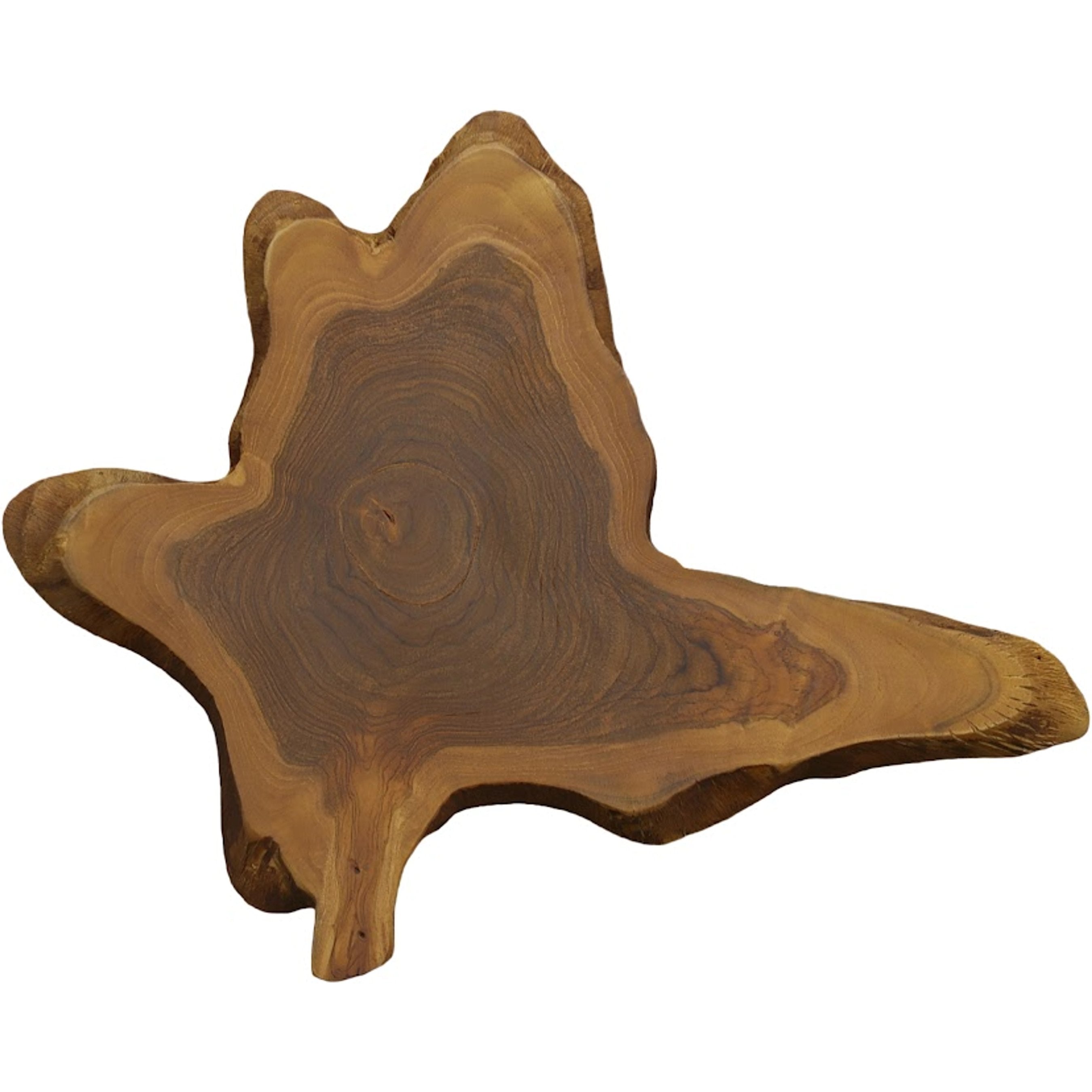 Phillips Collection Freeform Teak Medium Wall Slice, Natural | HedgeApple