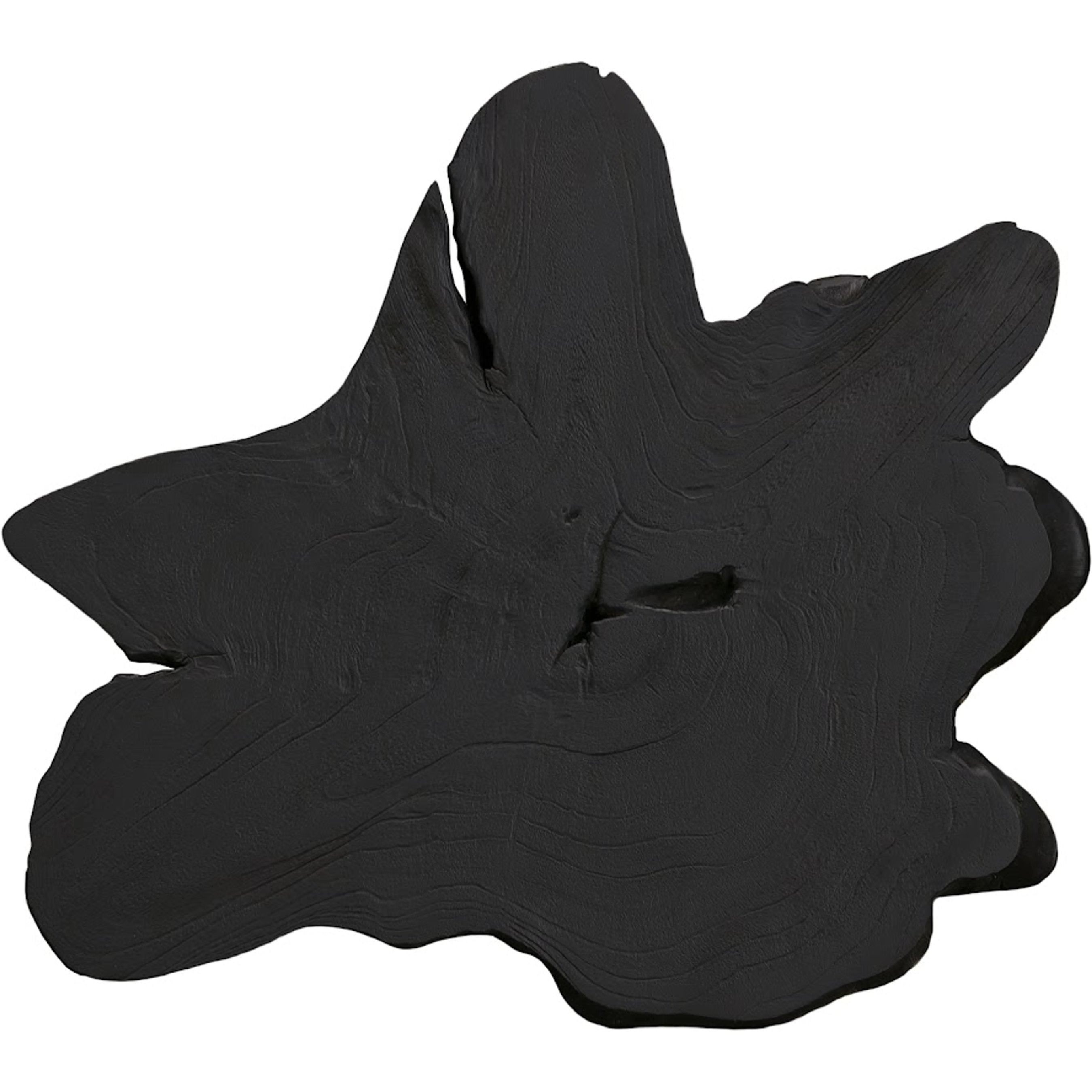 Phillips Collection Freeform Teak Large Wall Slice, Black | HedgeApple